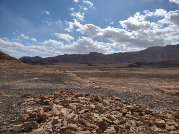 David and Solomon’s Kingdom as a State: An Archaeo-Historical ...